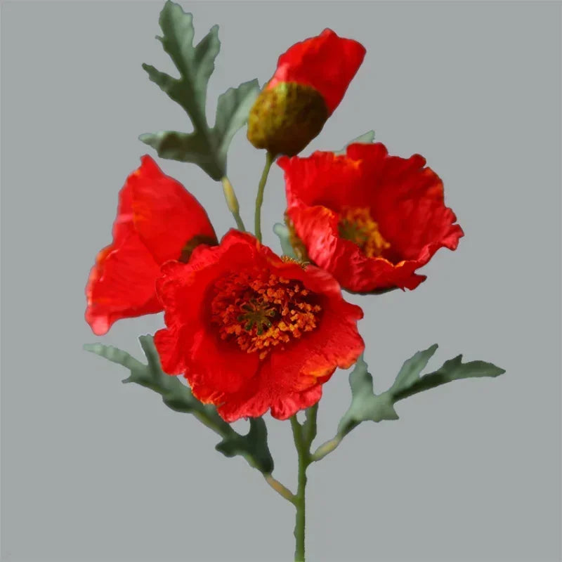 Multi Bloom Poppy Flower – Classic Modern Fabrics
